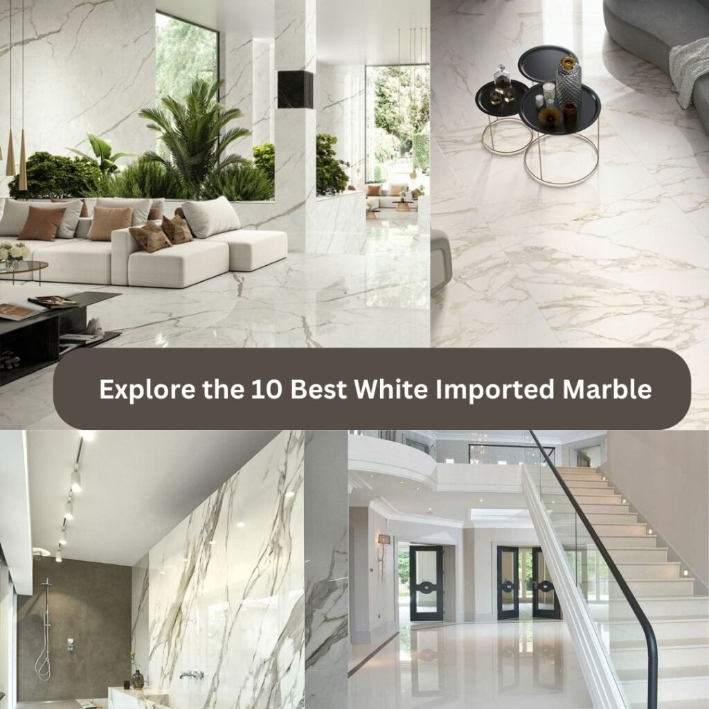 The Ultimate Guide to Italian Marble: Types, Prices, and Suppliers