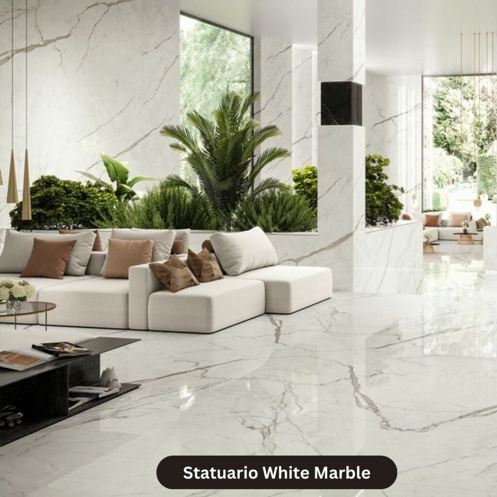 Statuario, Carrara, Calacatta, and Paonazzo : Imported Marble ...